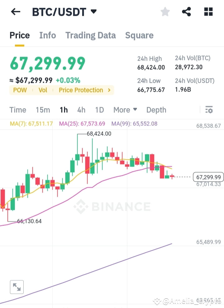 BTC/USDT Price Update: Key Levels to Watch Bitcoin is curre | Amelia_crypto on Binance Square