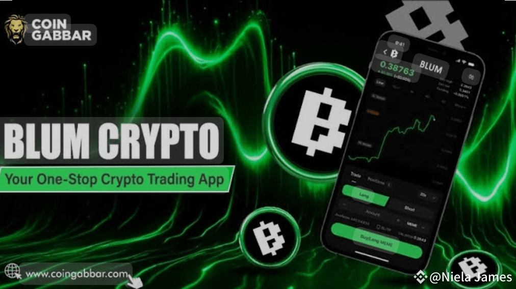 $BLUM Coin: Profit Potential and Price Projections Explained #BLUM # ...