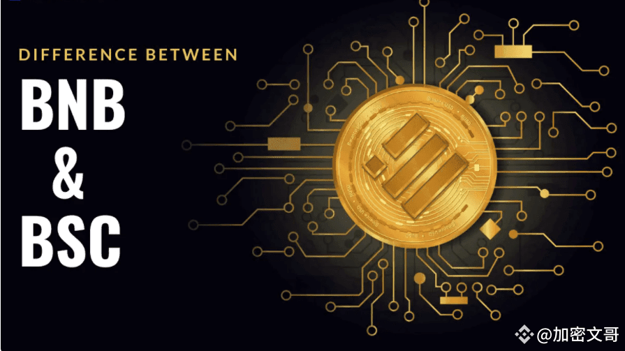 The market for BNB and BSC chain is 'ice and fire'! 1. BNB | 加密文哥 on ...