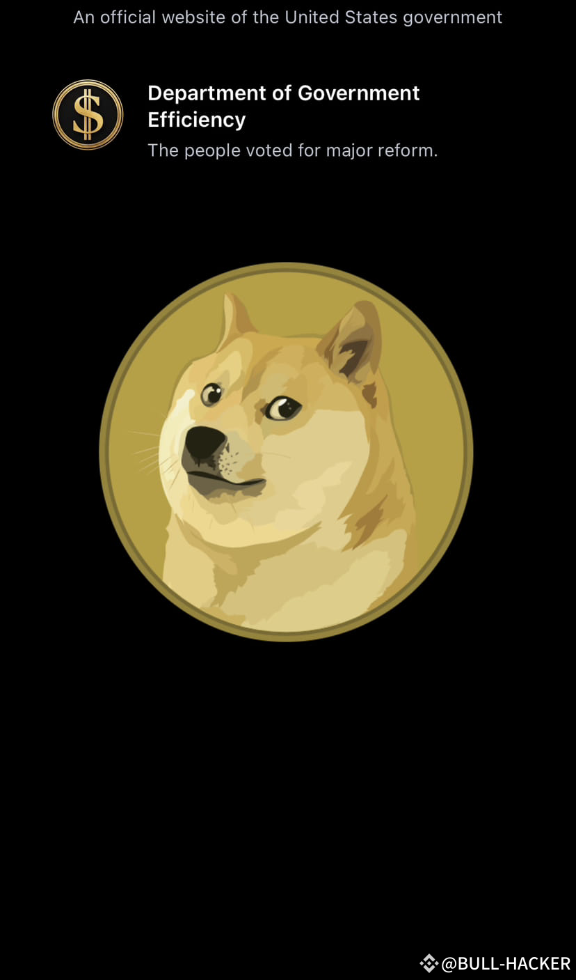 Doge official website launch | BULL-HACKER on Binance Square