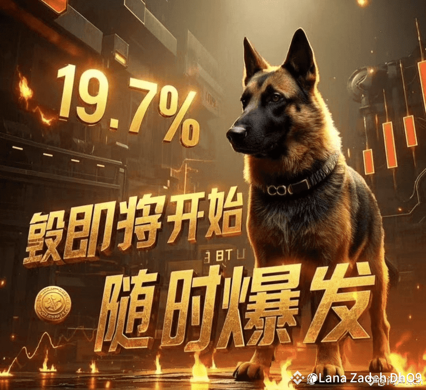 $PEPE President Dogecoin is about to take off 🛫 Con an Sha | Lana Zadeh ...