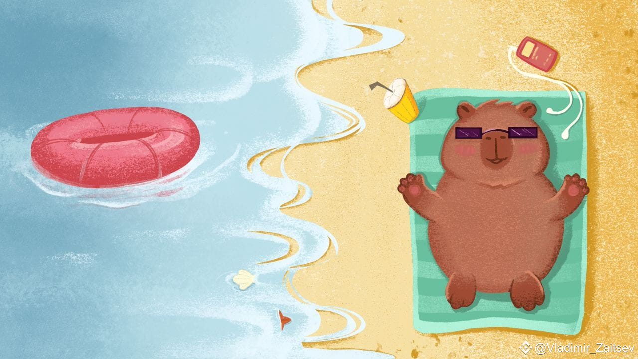 Friends, let's get to know the project - Capybara! Capybara | Vladimir ...