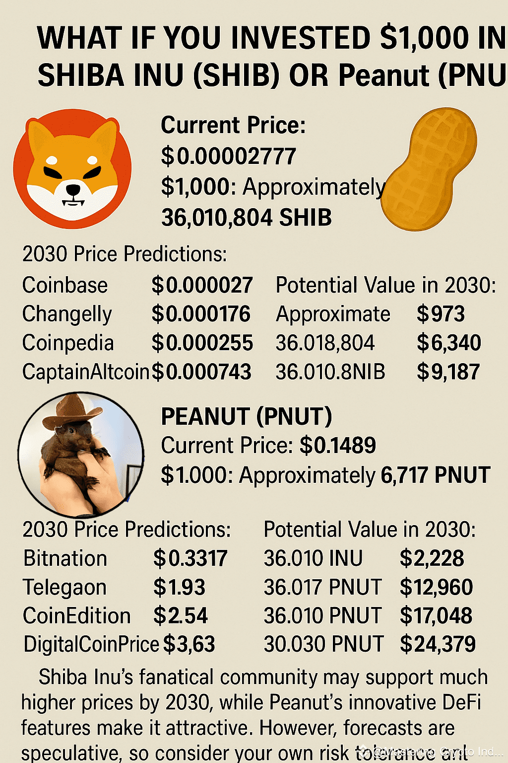 What If You Accidentally Invested $1000 in $SHIB or $PNUT an | Mastering Crypto India on Binance ...