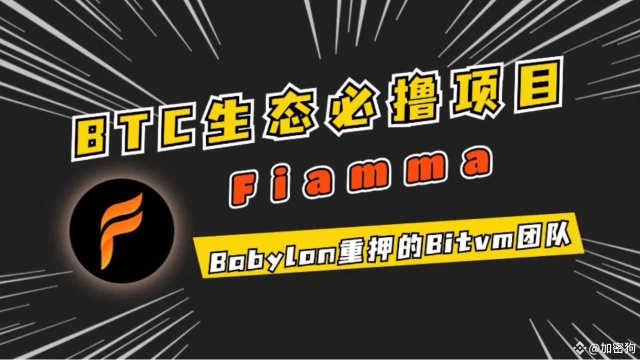 Crypto Dog Compilation Airdrop Article 337: Must-Pull Project — Fiamma (The Technical Team ...