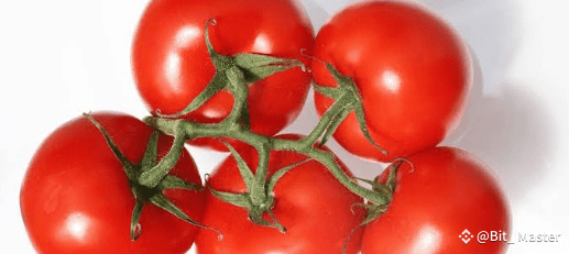 🚀 TOMA Airdrop Price Prediction: Is the Next Big 10x Opport | Bit ...