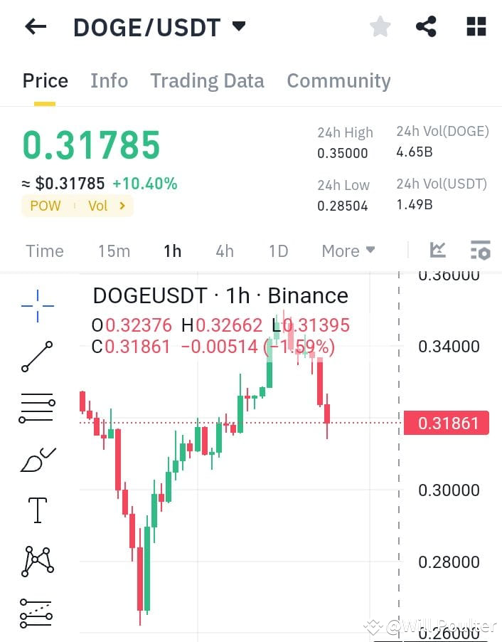 🚀 $DOGE USDT Price Update – Is the Meme King Ready to Soar? | Will Poulter on Binance Square