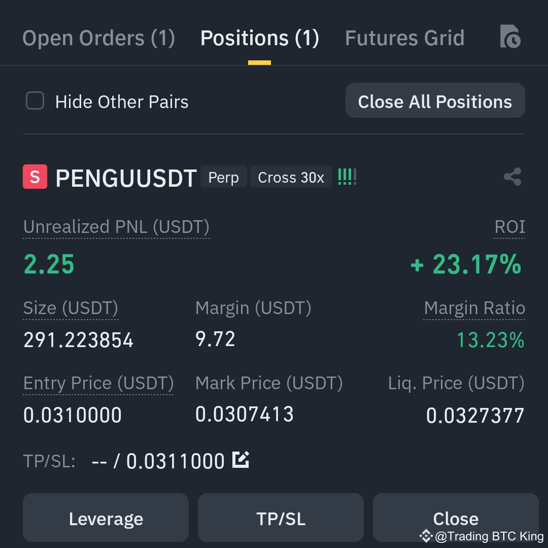 $PENGU Any Expert Alive ? Hold Or Close? | Trading BTC King on Binance ...
