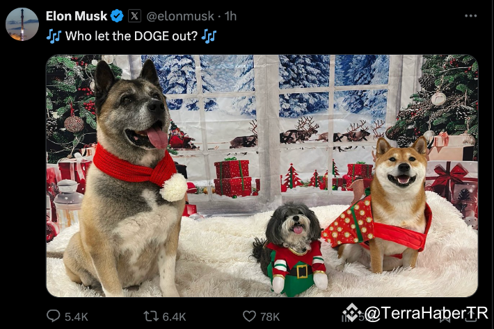 Elon Musk shared 3 beautiful dogs in his Christmas message ...