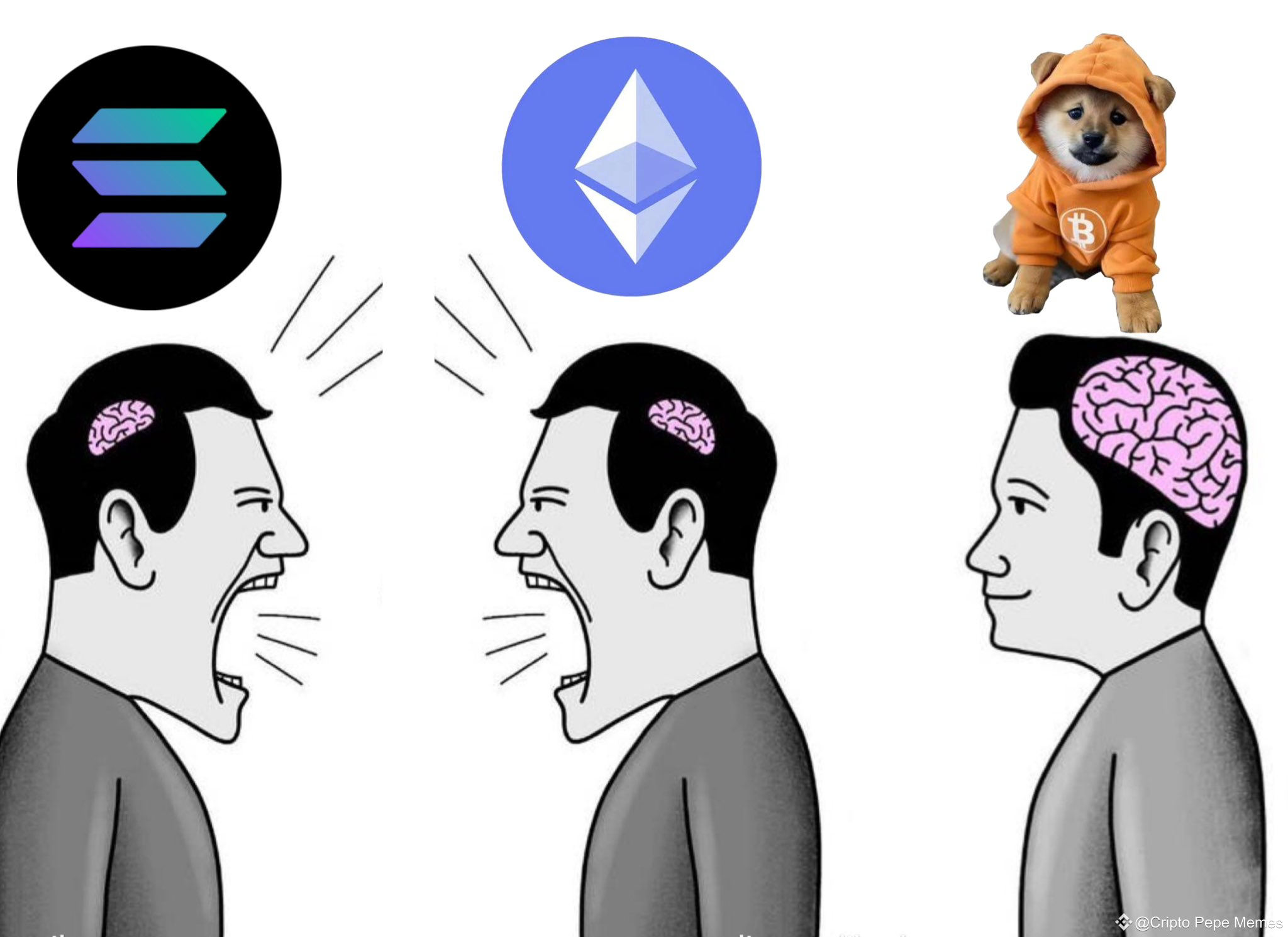 Have you seen $DOG crash? Have you seen the $DOG foundation | Cripto ...