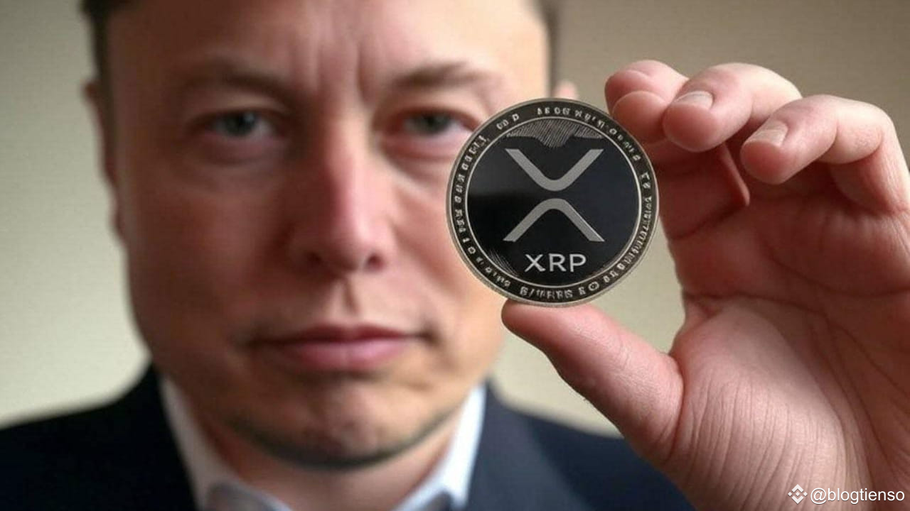 XRP Holders: The Power is in Your Hands – Take XRP to New Heights | blogtienso on Binance Square