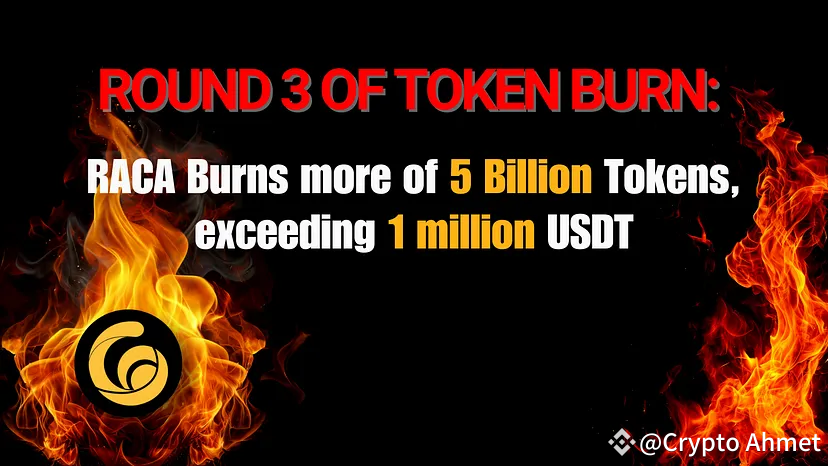 😱🔥3rd Round of Token Burn: RACA Burned More than 5 Billion Tokens worth ...