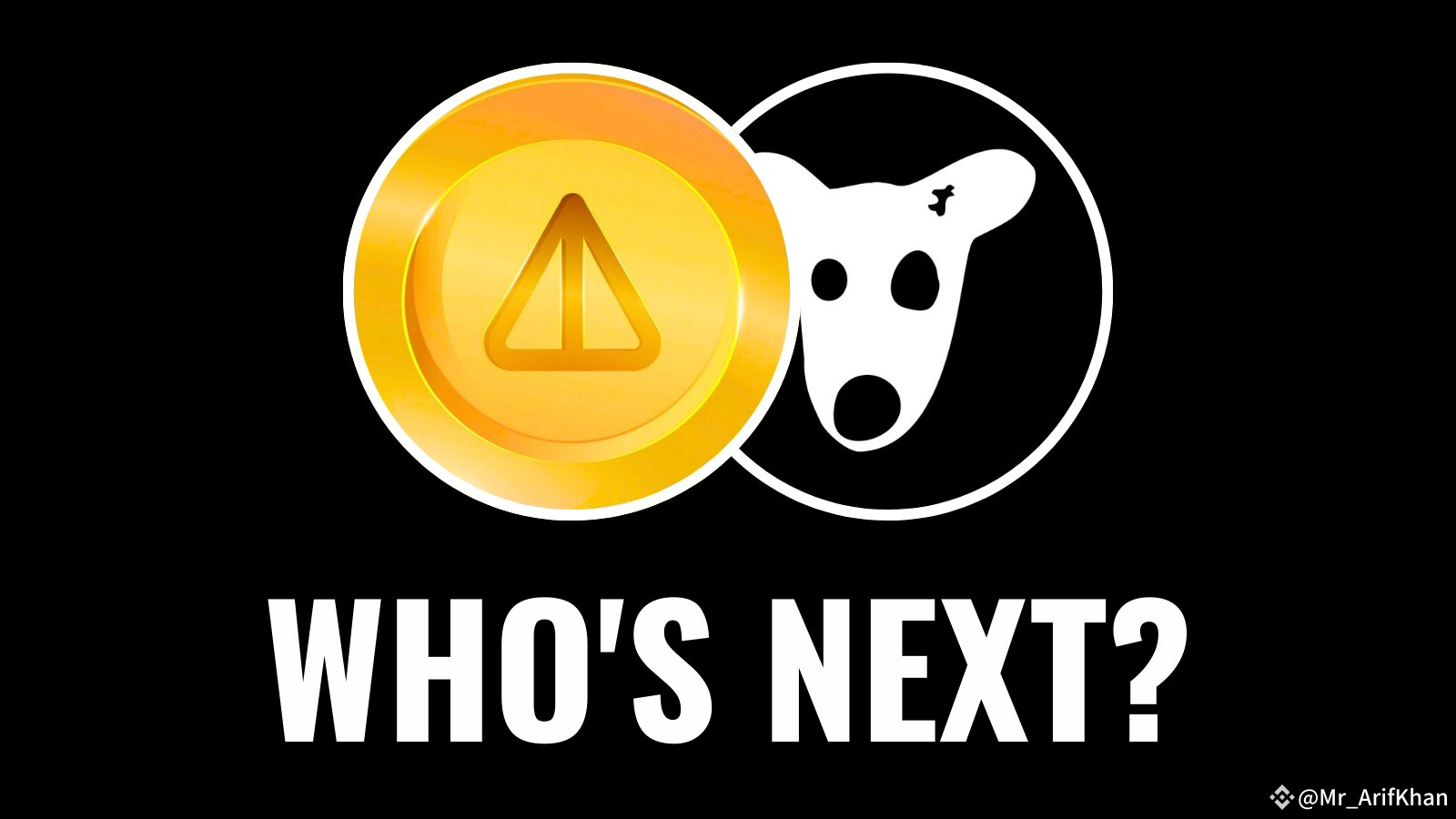 Who Is The Next Airdrop King After NOT And DOGS Tabraiz Shams On
