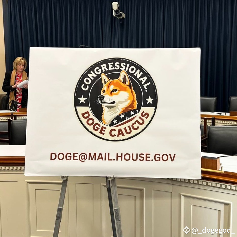 DOGE appears in congress. #Dogecoin | _dogegod_ on Binance Square