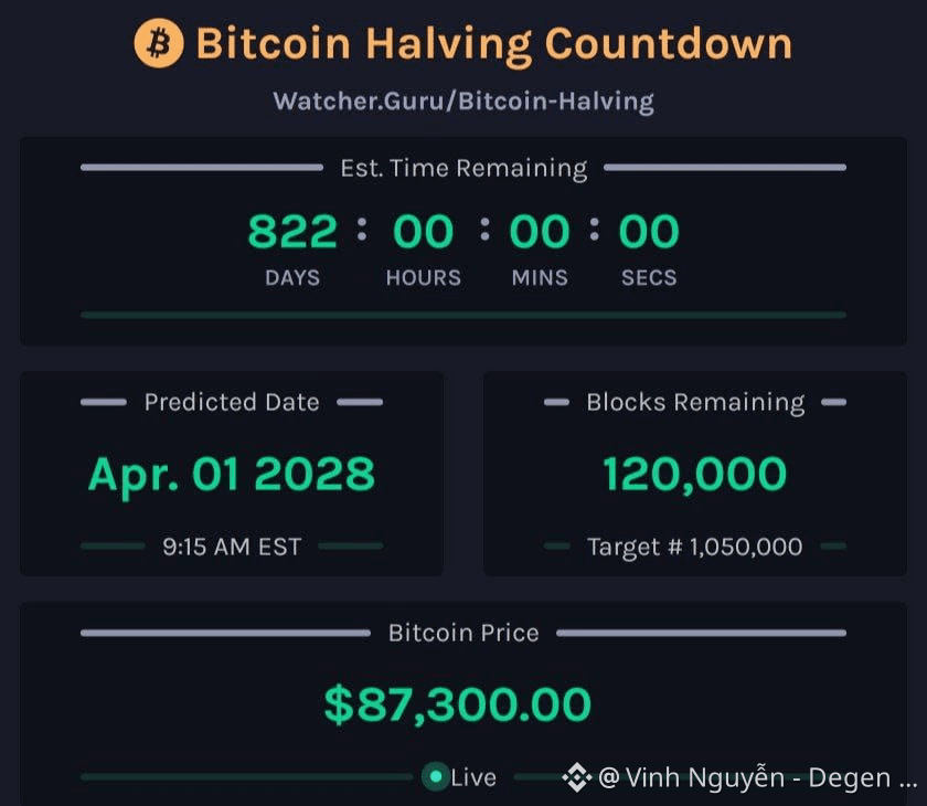 🚨 BREAKING: The countdown to the next Bitcoin Halving has | Vinh Nguyễn ...