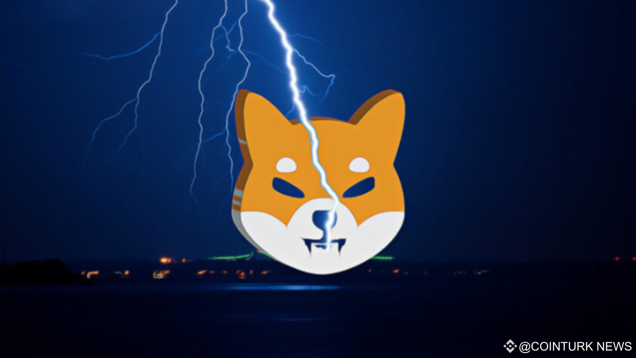 Memecoins That Attract Investors! The Rise of Moondeng, WIF and BONK ...