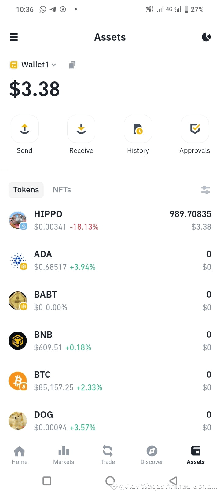 What is the future of hippo coin? #HIPPO | Adv Waqas Ahmad Gondal on ...