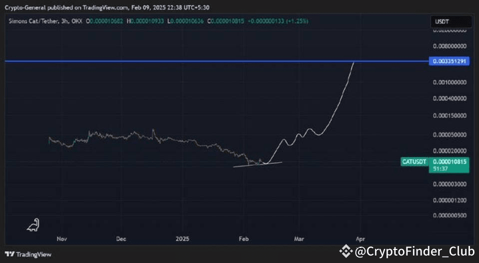 $1000CAT T is quickly becoming a household name in crypto. F | CryptoFinder_Club on Binance Square