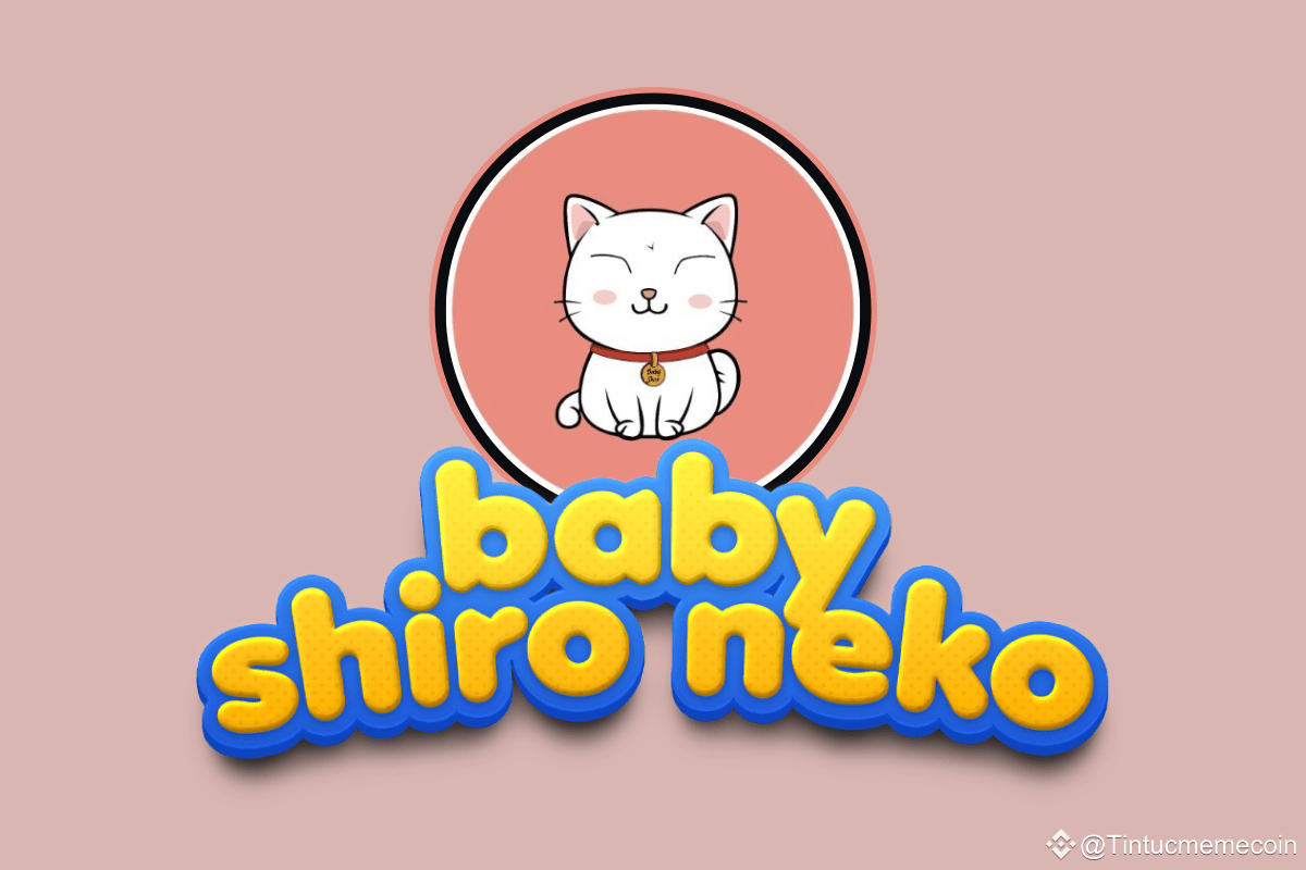 🐈 What is the BABYSHIRO token? Baby Shiro Neko cat-themed M ...