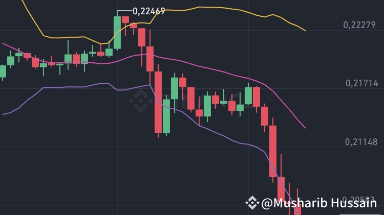 **🚀 Dogecoin ($DOGE) Price Alert: Critical Levels to Watch! 📉 ...