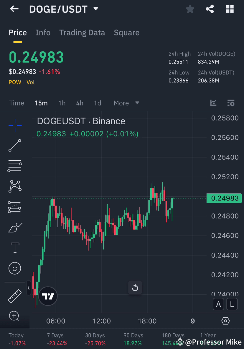 $DOGE /USDT Bull Run Alert! 🔥💯 Current Price: $0.24983 L | Professor Mike on Binance Square