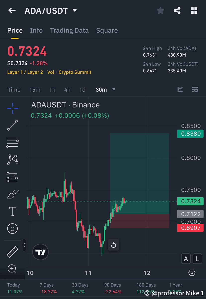 $ADA /USDT Long Trade Alert: Bullish Breakout Potential! 🔥 | professor Mike 1 on Binance Square