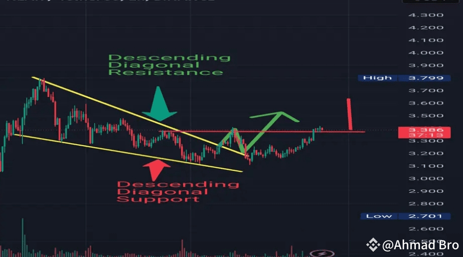 🚀 NEAR Gearing Up for a Massive Move? Double Bottom Breako | Queen ...