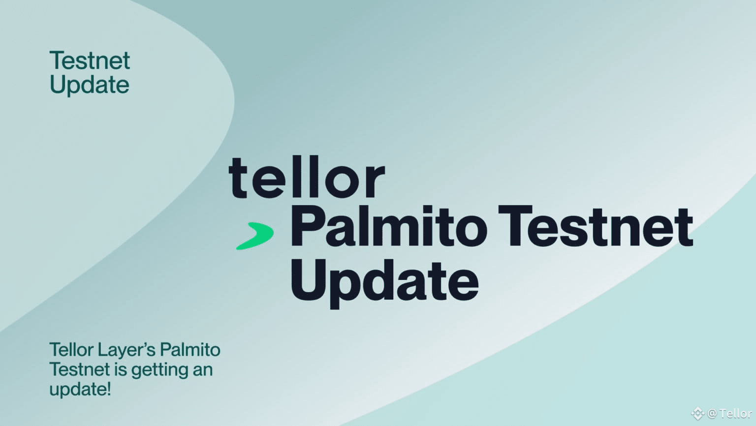 📣 Tellor is upgrading Layer's 'Palmito' testnet this | Tellor on ...