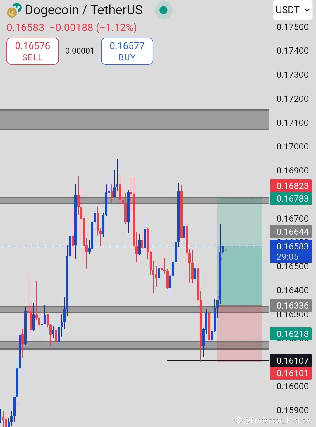 $DOGE Trade moved exactly as predicted straight into profits | Professor_Michael on Binance Square