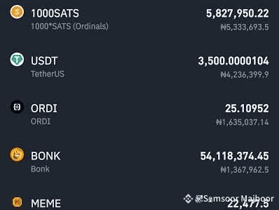 My Holdings $MEME $PEPE $1000SATS | Samsoor Majboor on Binance Square