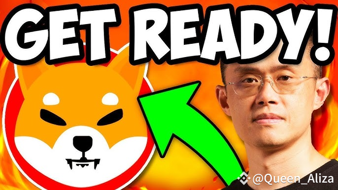 📈 Shiba Inu (SHIB): More Than Just a Meme – A Rising Star in the Crypto ...