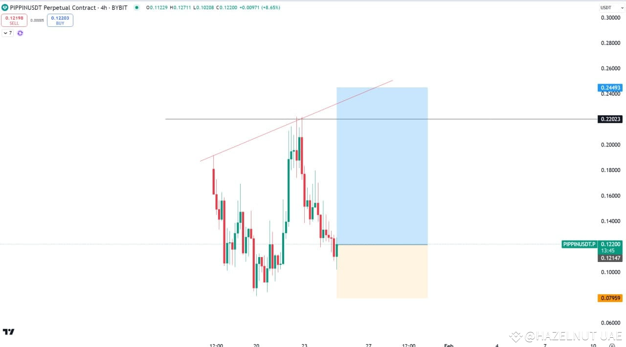 PIPPIN Buy Setup | HAZELNUT UAE on Binance Square