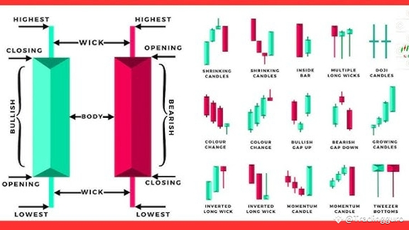 Turn $50 daily on Binance by analyzing 5 Minutes Bullish candlestick ...