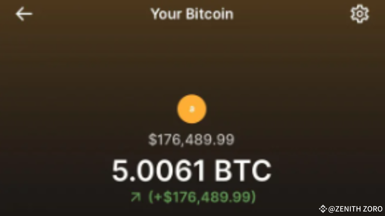 HOW TO TURN A SMALL INVESTMENT INTO 5 BTC IN 6 MONTHS – YOUR ULTIMATE ...