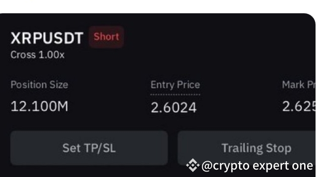 The Story of a Bold Trader: Taking on XRP and Stirring Controversy ...