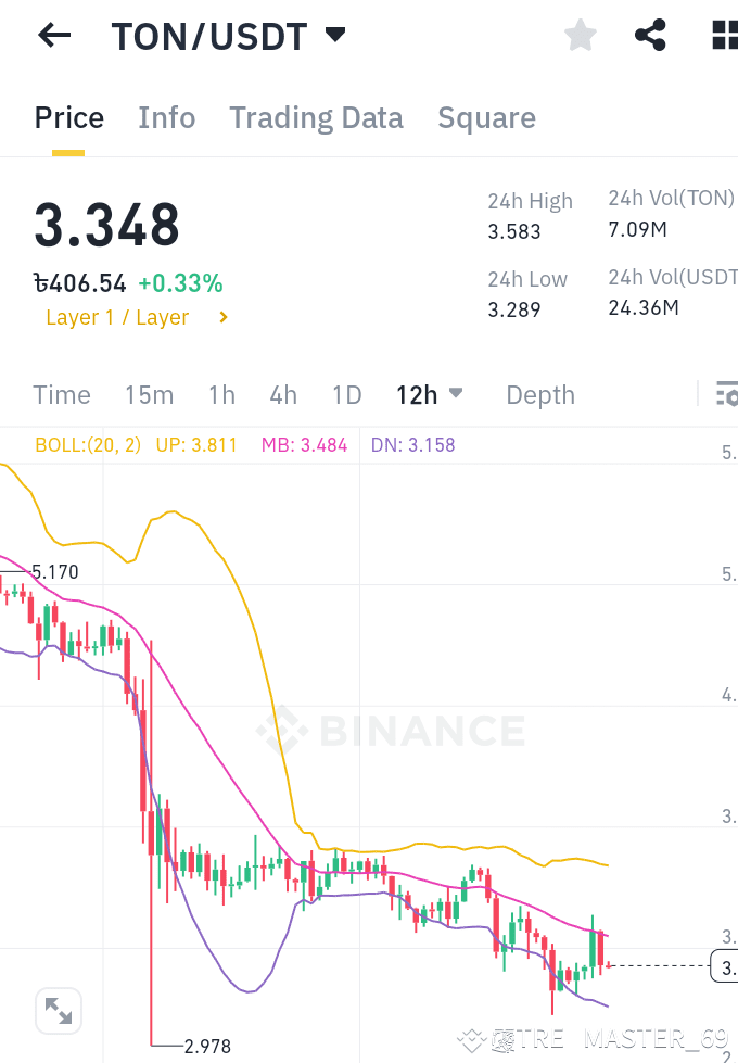 $TON 🔥 BUY TON TOKEN NOW! 🔥 The TON Token is BOOMING ri | TREDMASTER_69 on Binance Square