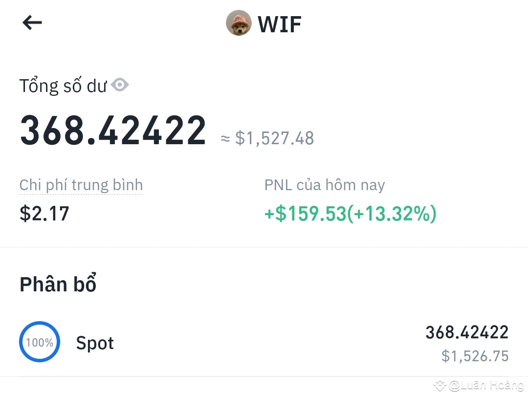 WIF Meme coin has the most potential and risk-limiting abili | Luân Hoàng on Binance Square