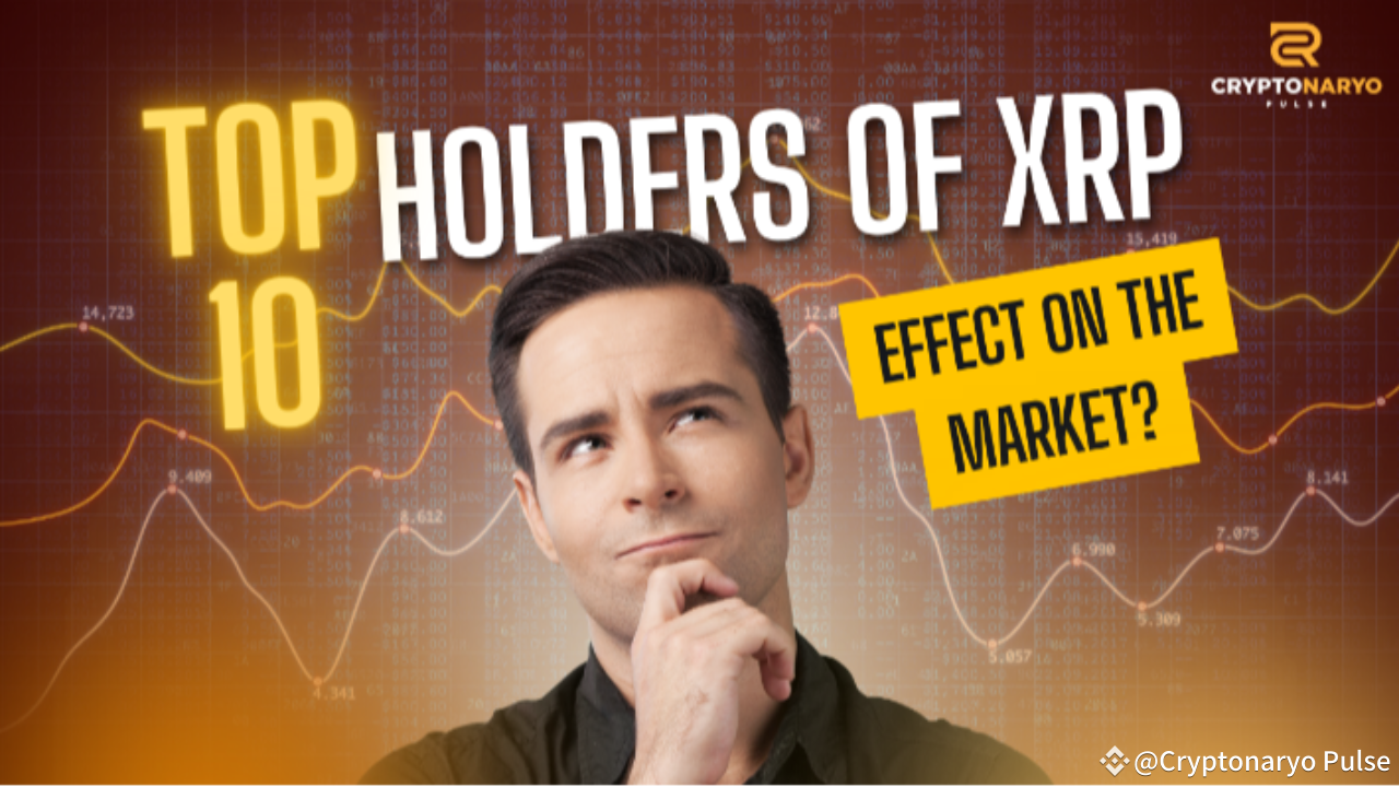 Who Are the Top 10 Holders of XRP and What Does It Mean for the Market ...