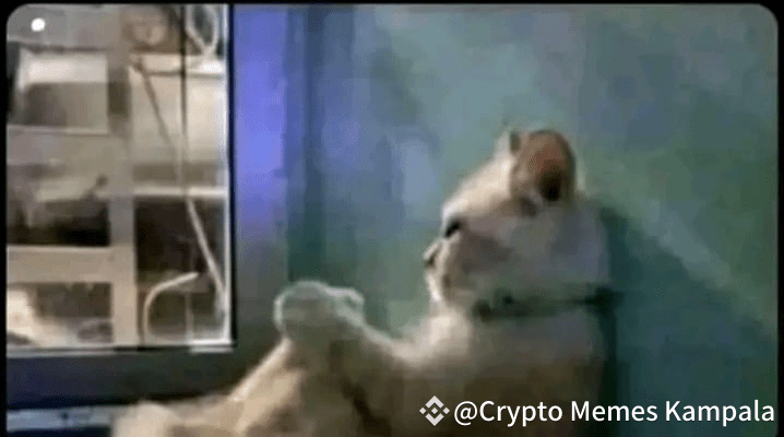 Mi cartera está experimentando actualmente una “revaluación | Crypto ...