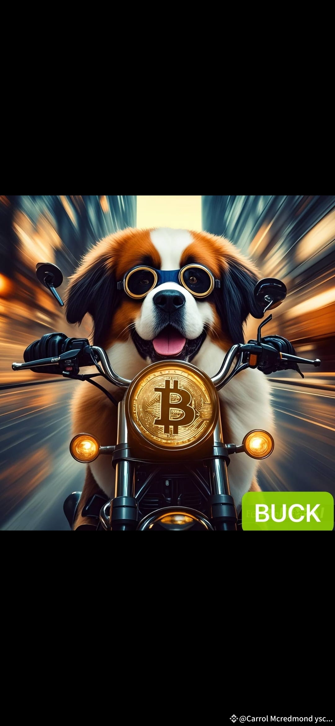 The expectations that $BUCK can achieve are worth looking fo | Carrol ...